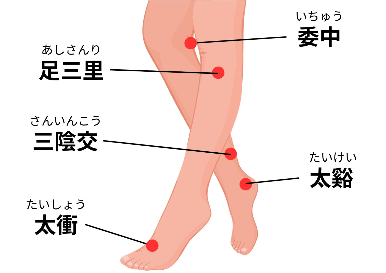 むくみ解消に効くツボ5選 | 脚やせ専門ボディメイクB-CHERISH