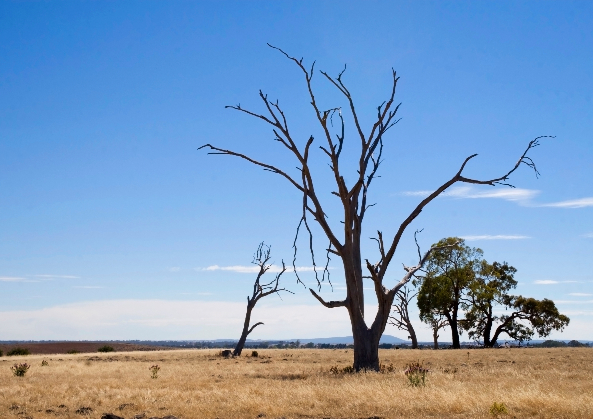 成長のためには「自分を変える」より先に「環境を変える」ことが大切！ | 脚やせ専門ボディメイクB-CHERISH